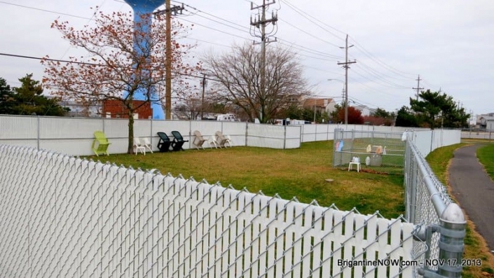 Dog Friendly Park - Official Brigantine